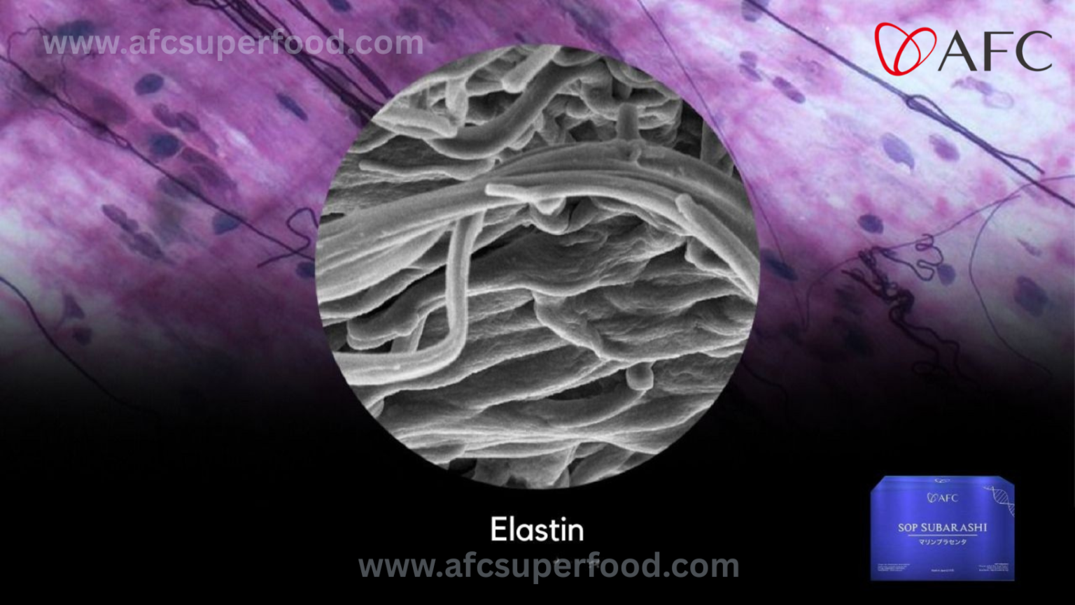 Sop Subarashi - AFC Superfood from AFC Japan -Trusted Stem Cell ...